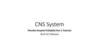 CNS System.pptx