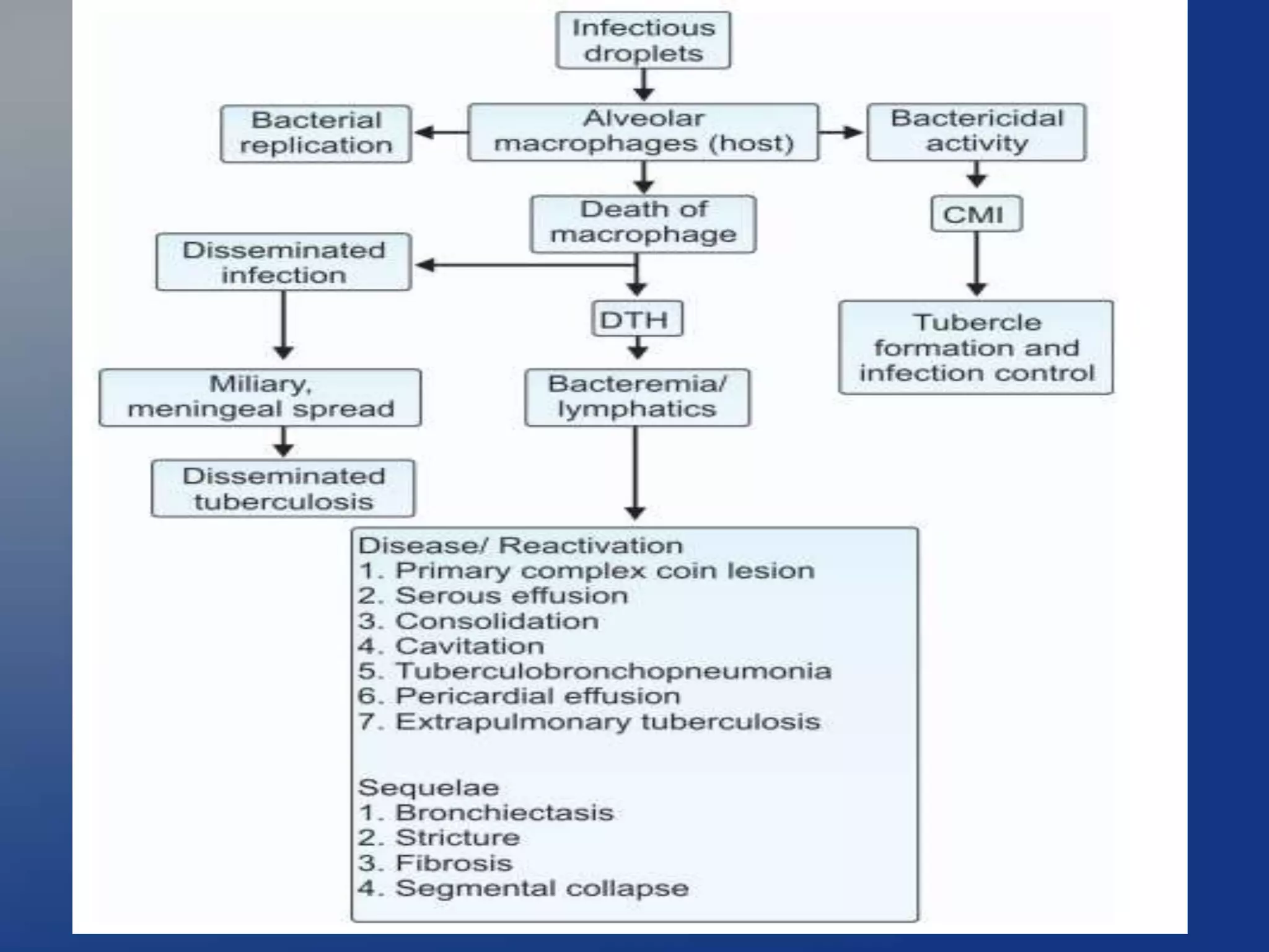 Tuberculosis of central Nervous System- CNSTB | PPT | Brain and Nervous ...