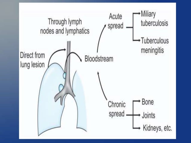 Tuberculosis of central Nervous System- CNSTB | PPT | Brain and Nervous ...