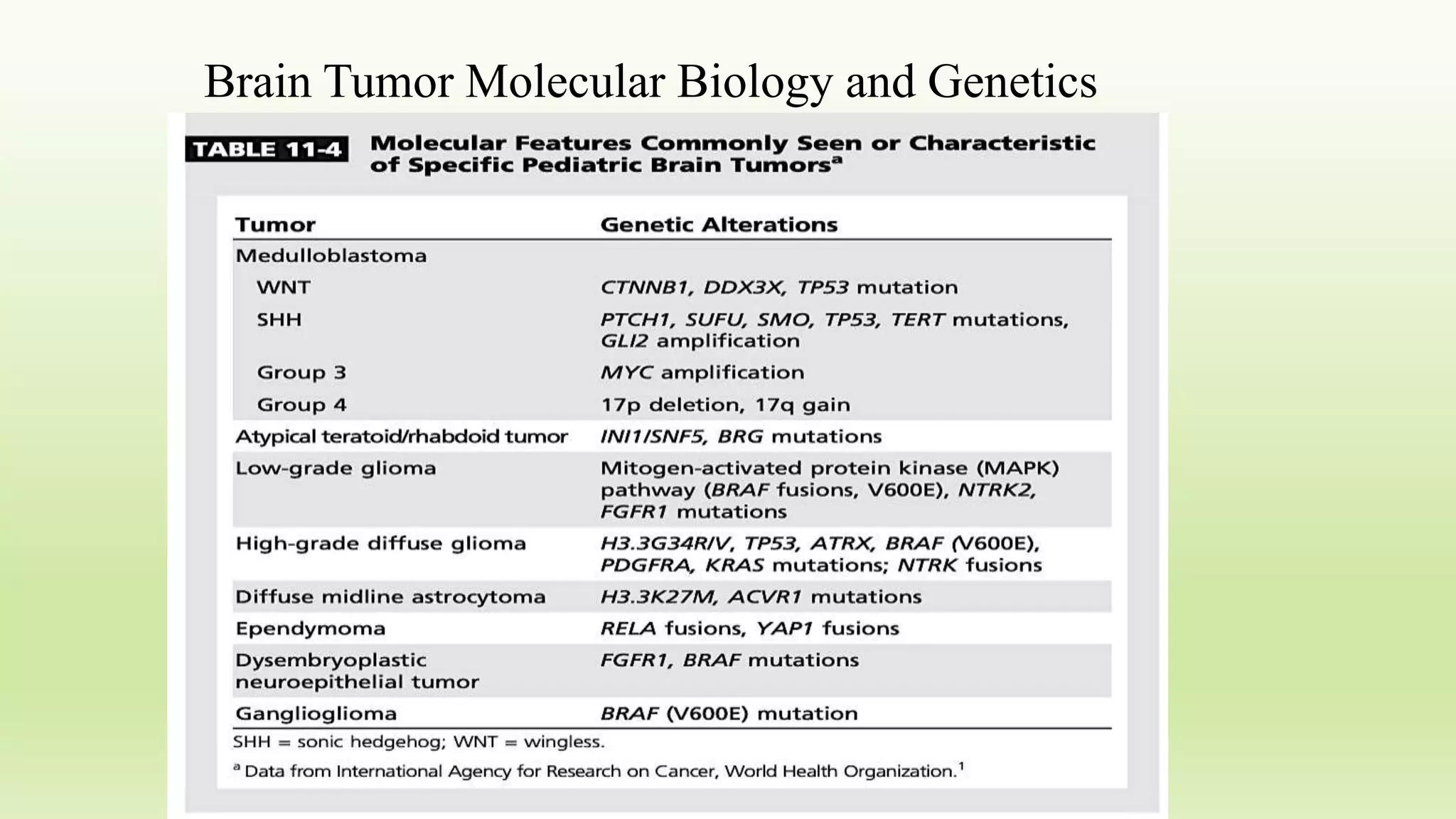 Brain tumor in children | PPTX | Cancer | Diseases and Conditions