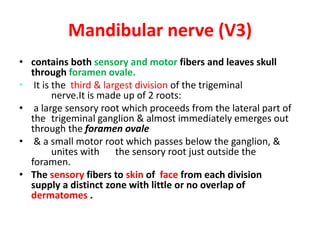 Cranial Nerve V Trigemial | PPTX