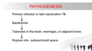Cns tuberculosis | PPTX