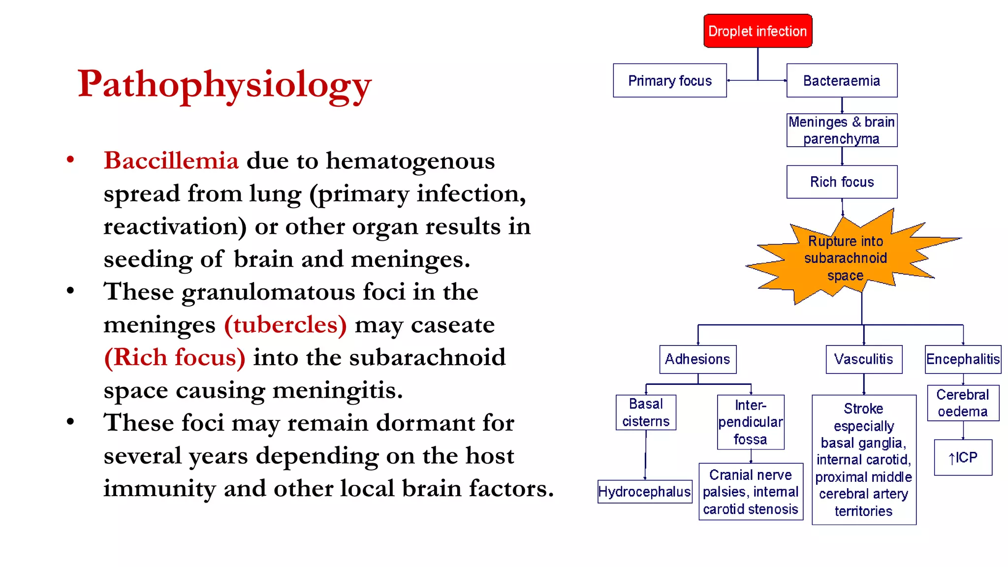 Tuberculosis of the Central Nervous system | PPTX