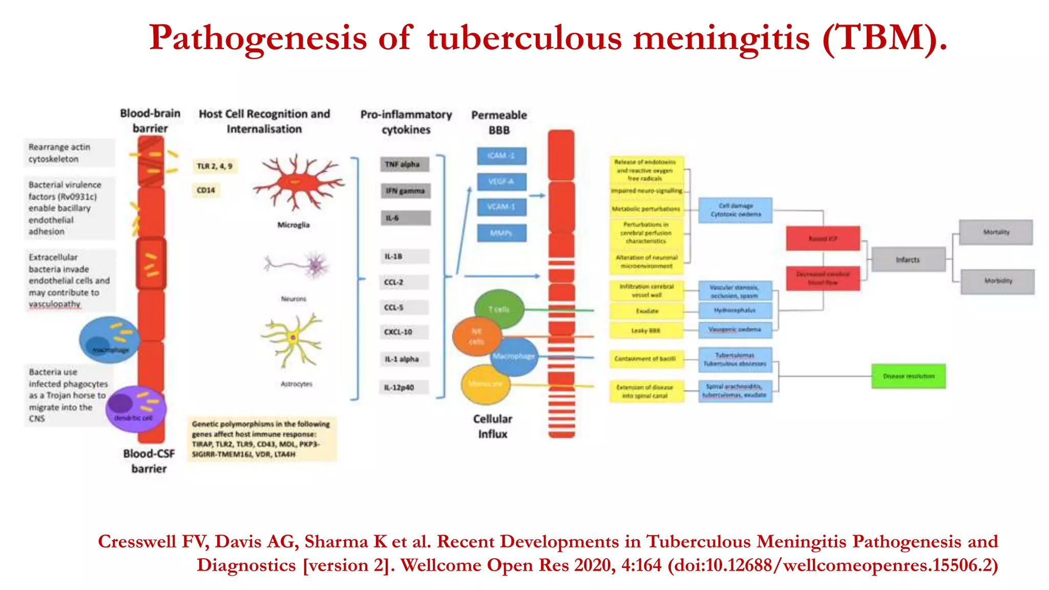 Tuberculosis of the Central Nervous system | PPTX
