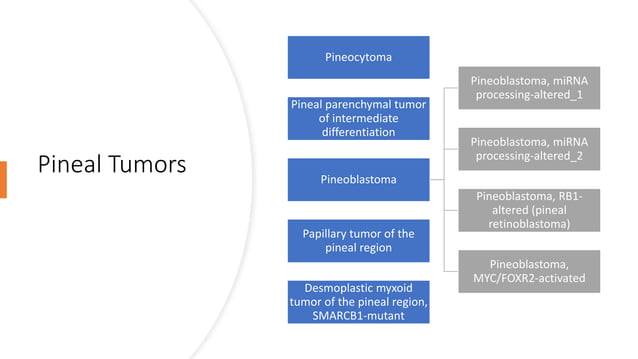 CNS tumor classification.pptx