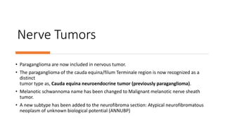 CNS tumor classification.pptx