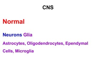 CNS TUMORS.ppt