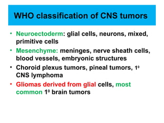 Comprehensive Overview of CNS Tumors: Classification, Types, and ...