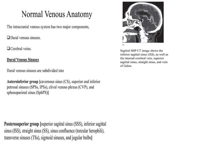 CNS VASCULAR MALFORMATIONS vygvgvkhvkghvhgv | PPT
