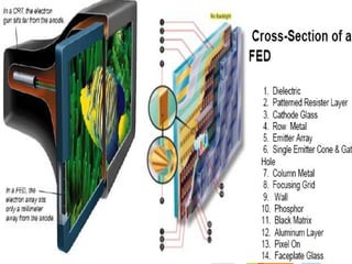 Cnt application in fed | PPT