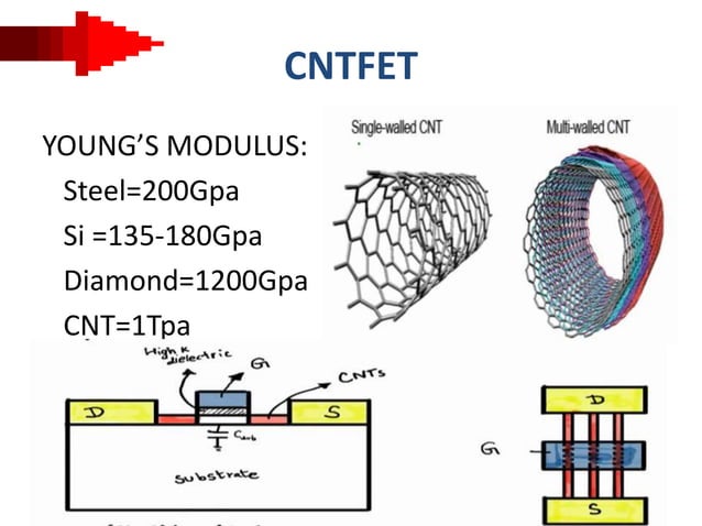 Reconfigurable Double Gate CNTFET Based Nanoelectronic Architecture | PPT