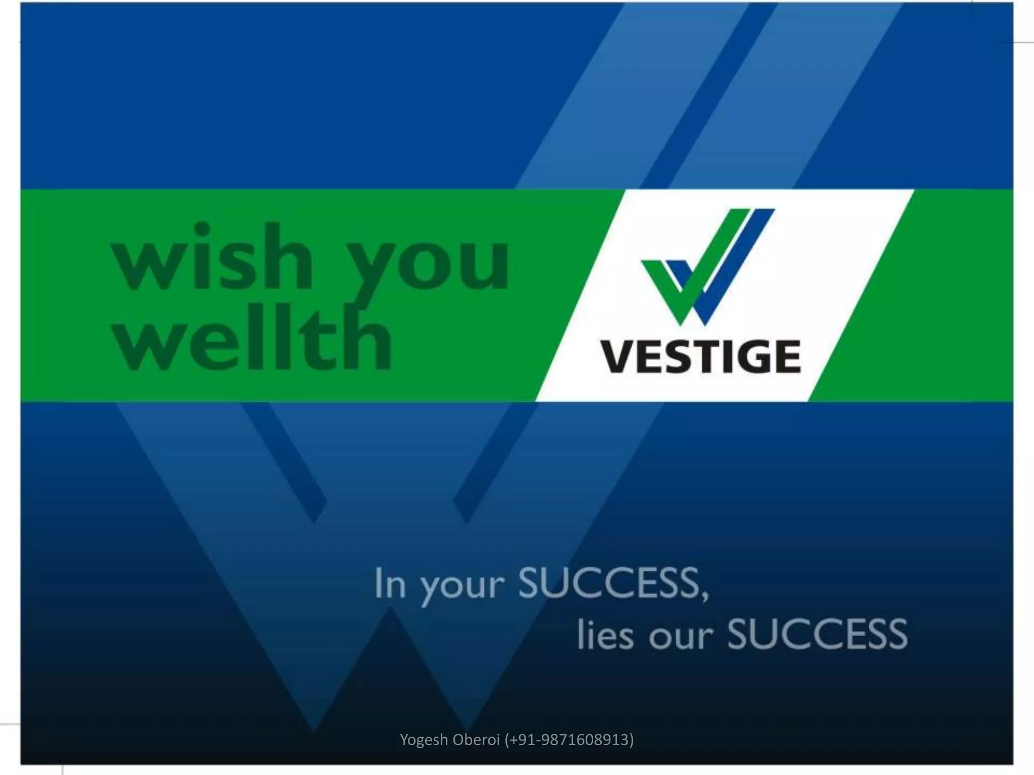 Vestige Success Plan | PPT