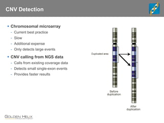 CNV Analysis in VarSeq | PDF