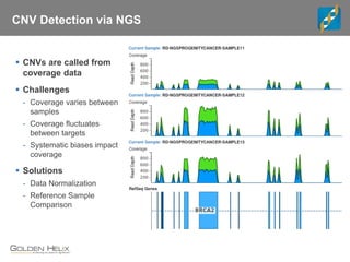 CNV Analysis in VarSeq | PDF
