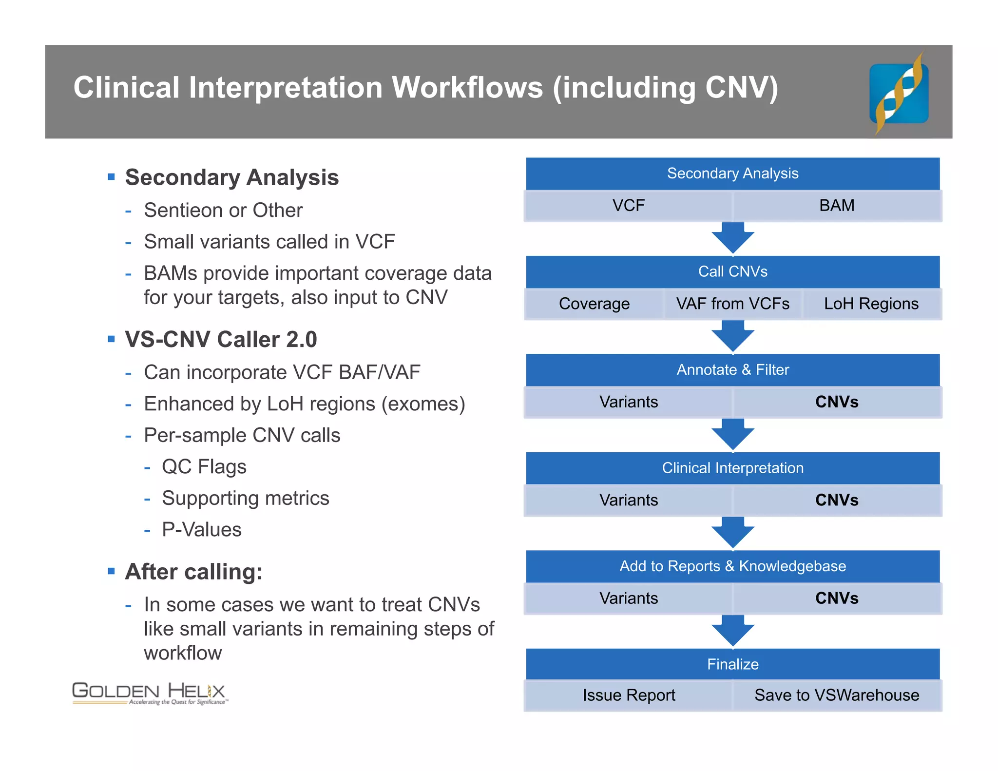 Comprehensive Clinical Workflows for Copy Number Variants in VarSeq | PDF