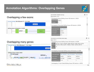 Comprehensive Clinical Workflows for Copy Number Variants in VarSeq | PDF