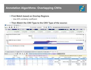 Comprehensive Clinical Workflows for Copy Number Variants in VarSeq | PDF