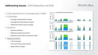 CNV Annotations: a crucial step in your variant analysis | PDF