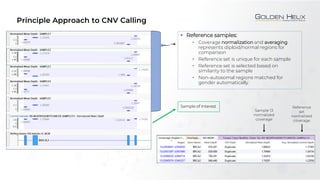 CNV Annotations: a crucial step in your variant analysis | PDF