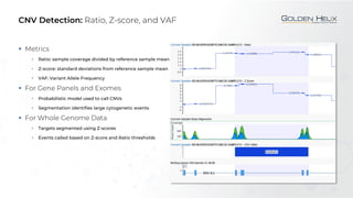 CNV Annotations: a crucial step in your variant analysis | PDF