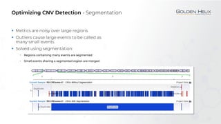 CNV Annotations: a crucial step in your variant analysis | PDF