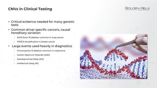 CNV Annotations: a crucial step in your variant analysis | PDF