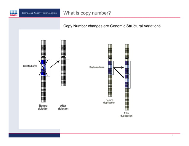 Cnv and a analysis strategies | PDF | Genetics | Science