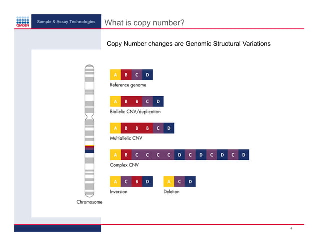 Cnv and a analysis strategies | PDF | Genetics | Science