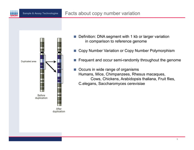 Cnv and a analysis strategies | PDF | Genetics | Science