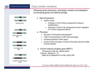 Cnv and a analysis strategies | PDF
