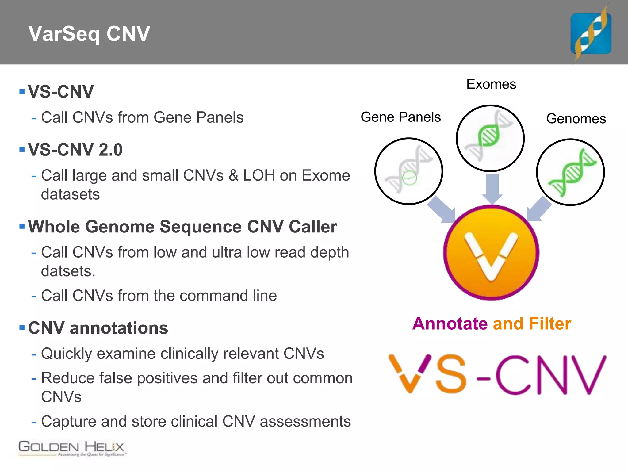 VS-CNV Annotations from the User's Perspective | PPTX