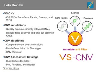 VS-CNV Annotations from the User's Perspective | PPT