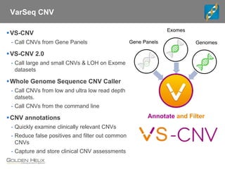 VS-CNV Annotations from the User's Perspective | PPT
