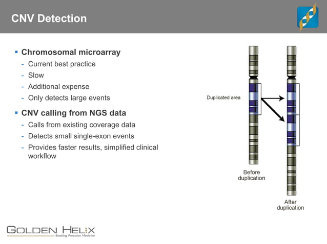 VS-CNV Annotations from the User's Perspective | PPT