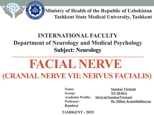Cranial Nerve VII - Facial Nerve (Nervus facialis) | PPT