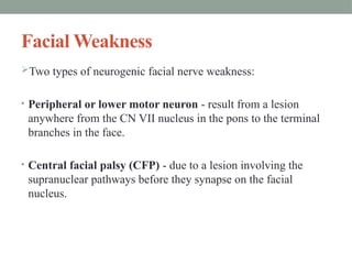 Cranial Nerve VII - Facial Nerve (Nervus facialis) | PPTX