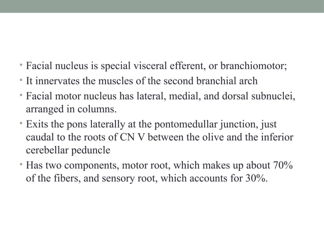 Cranial Nerve VII - Facial Nerve (Nervus facialis) | PPTX
