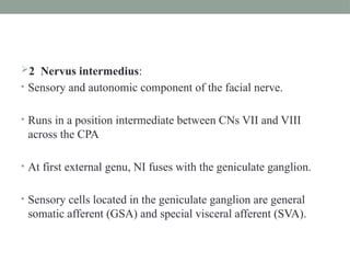 Cranial Nerve VII - Facial Nerve (Nervus facialis) | PPTX