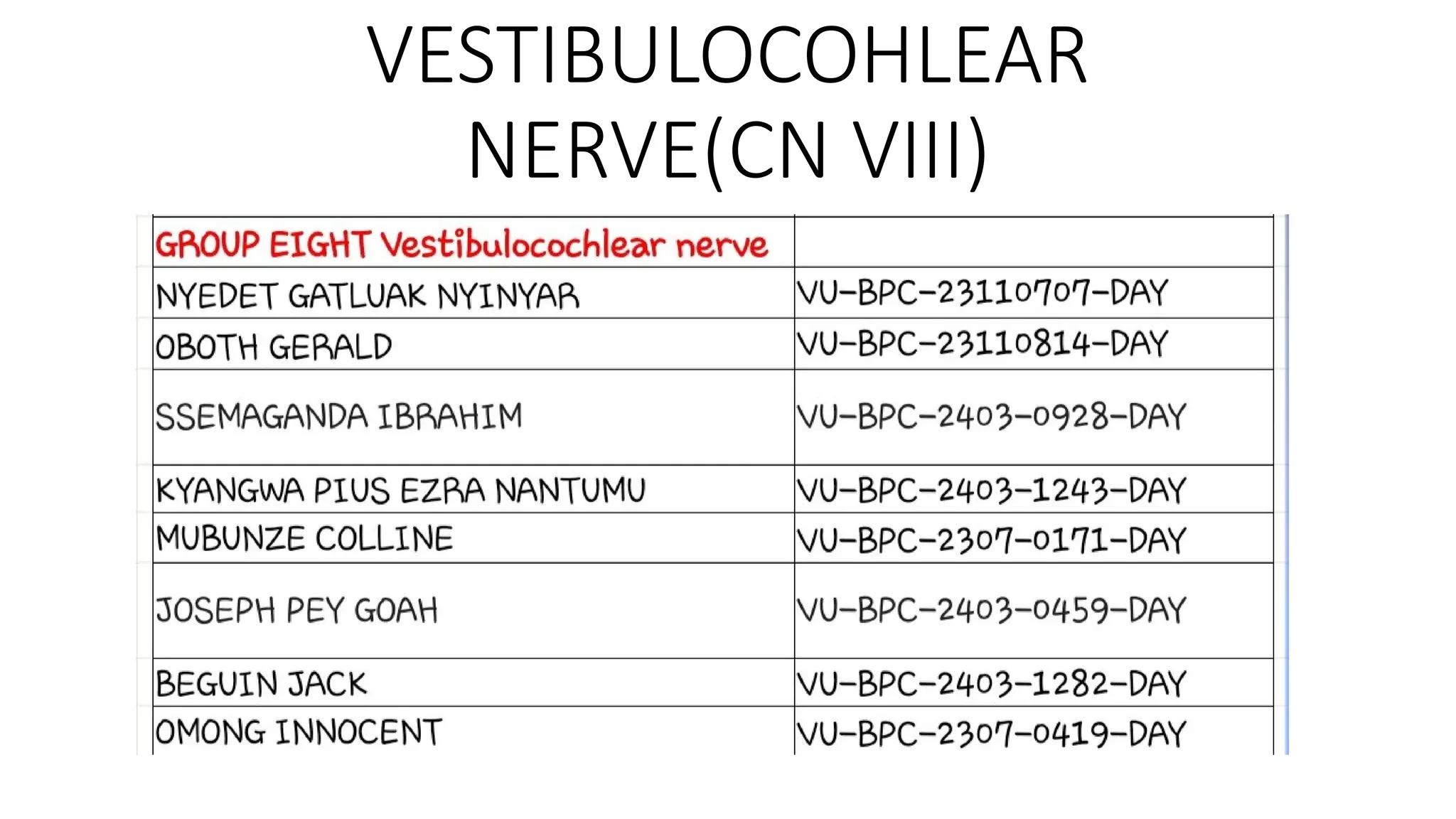 Vestibulochoclear nerve (CN VIII)- anatomy.ppt