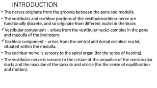 Vestibulochoclear nerve (CN VIII)- anatomy.ppt