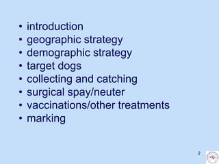 CNVR methodology by Robert Smith | PPSX