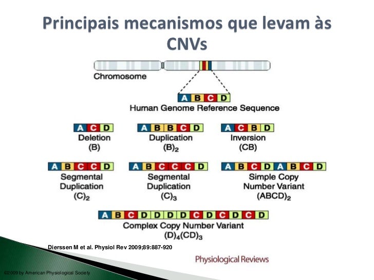 CNVs (copy number variations) em populacoes humanas e sua relacao com…