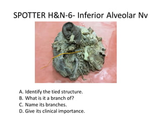 spotters_h_and_n.pdf important spotters. | PPT