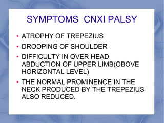 Cnxi palsy | ODP