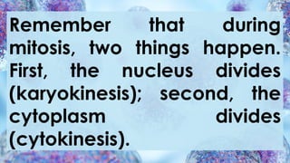 Second quarter Mitosis lesson.................................... | PPTX