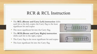 CO-AL Presentation.pptx
