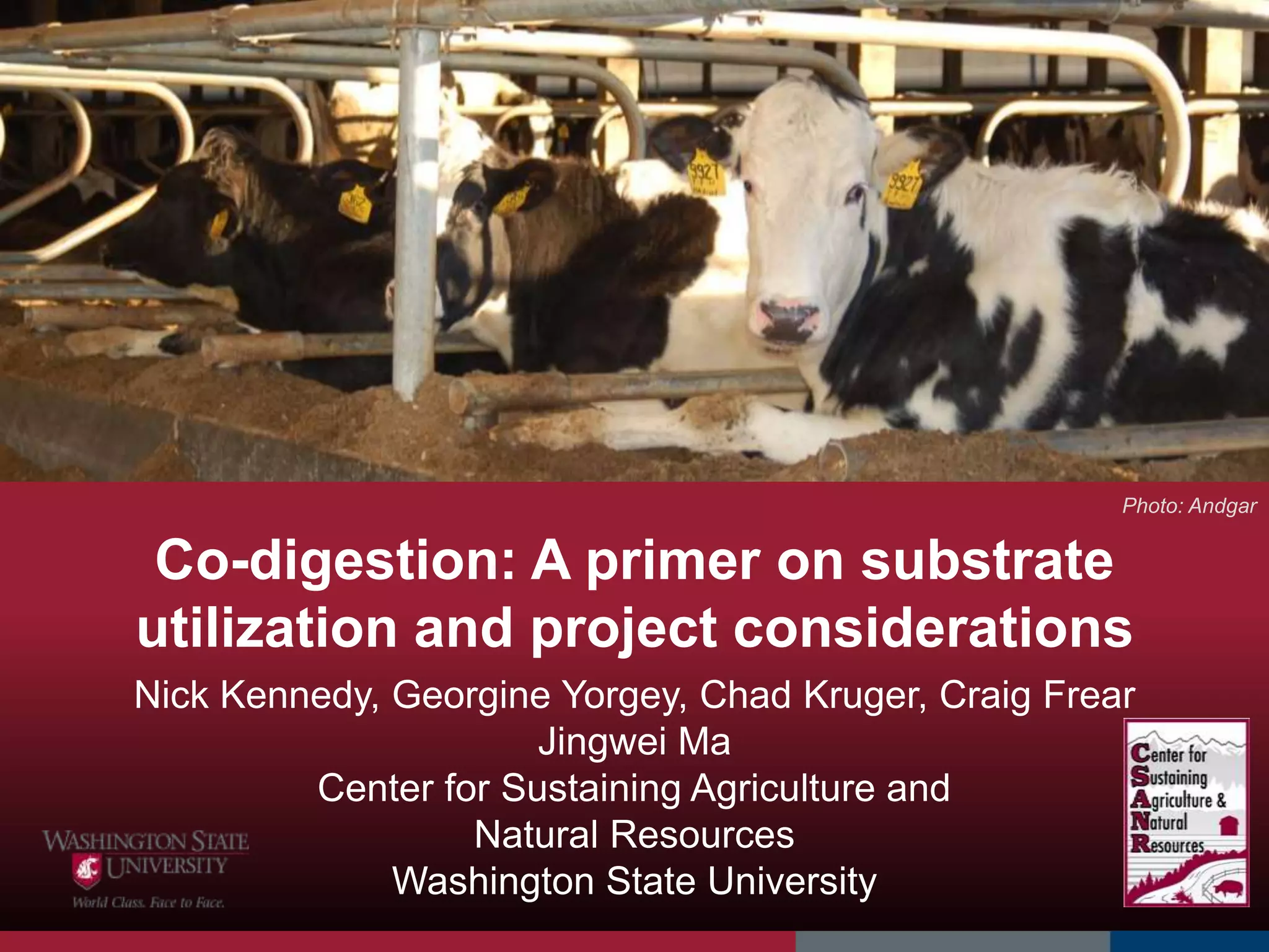 Co-digestion: A Primer on Substrate Utilization and Project ...
