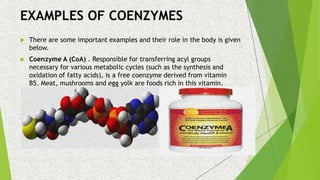 Co-Enzyme and their Role in Regulation in Metabolic Process Presented ...
