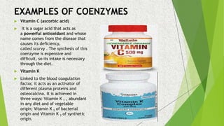 Co-Enzyme and their Role in Regulation in Metabolic Process Presented ...