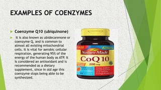 Co-Enzyme and their Role in Regulation in Metabolic Process Presented ...